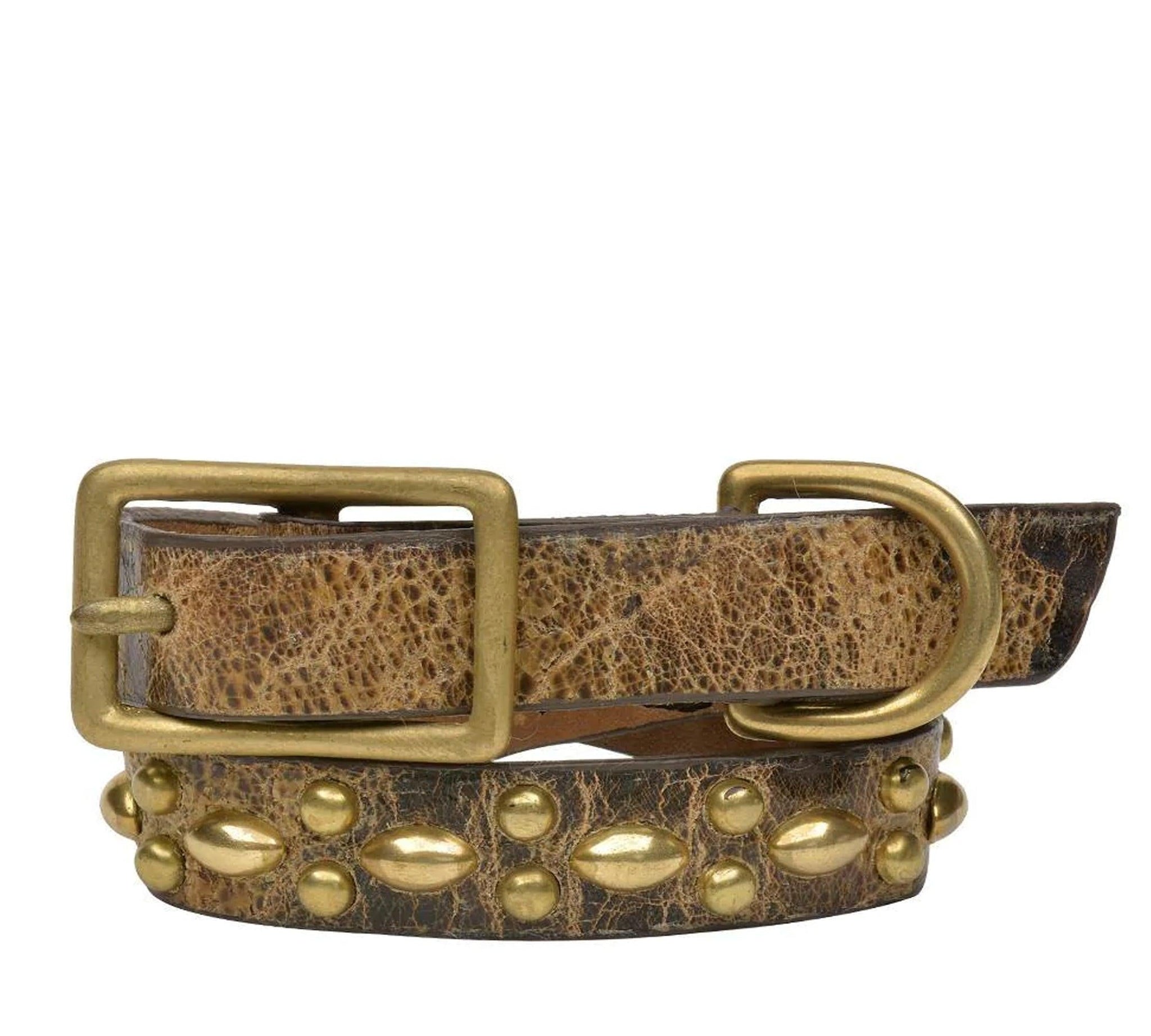 Coco 12" Dog Collars | Calleen Cordero